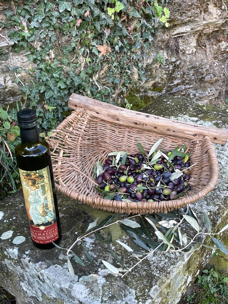 What Defines "Extra Virgin" Olive Oil? – Bramasole Olive Oil